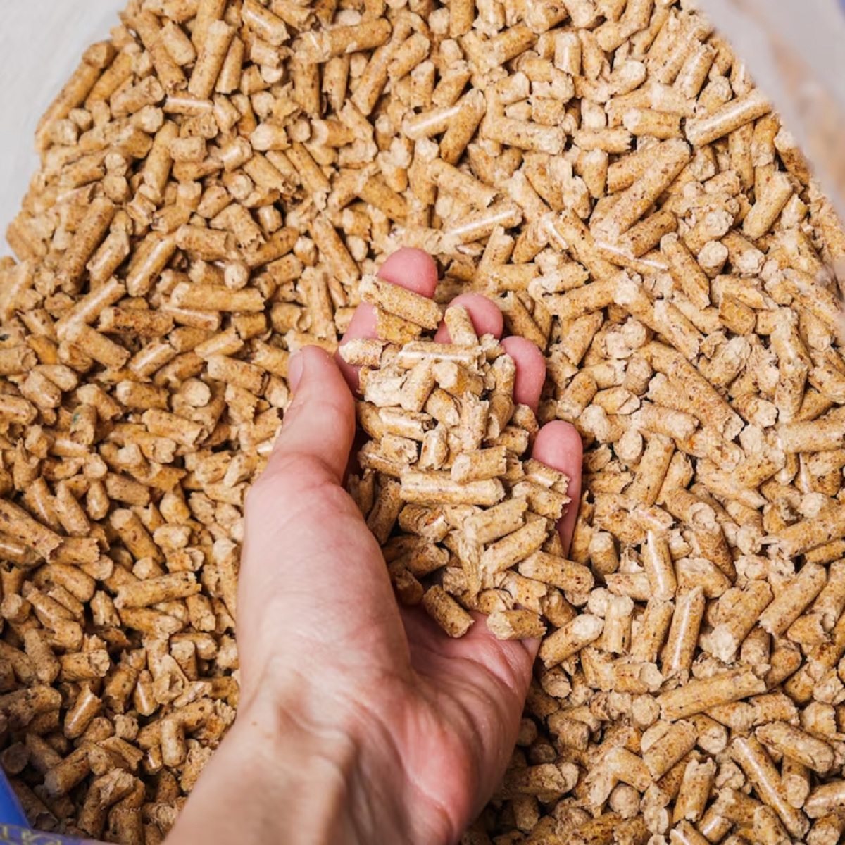 Prezzi pellet inverno 2024: cosa aspettarsi e quando acquistare per risparmiare